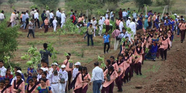 1.5 Million Volunteers Plant 66 Million Trees in 12 Hours, Breaking ...
